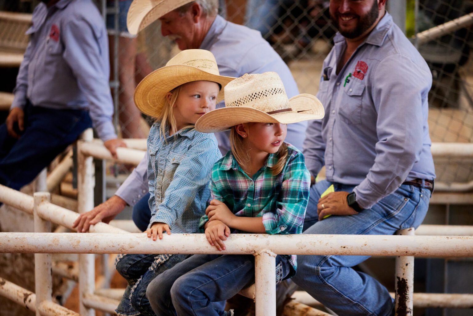 DeSoto County, Florida: An Untamed, Wild Destination