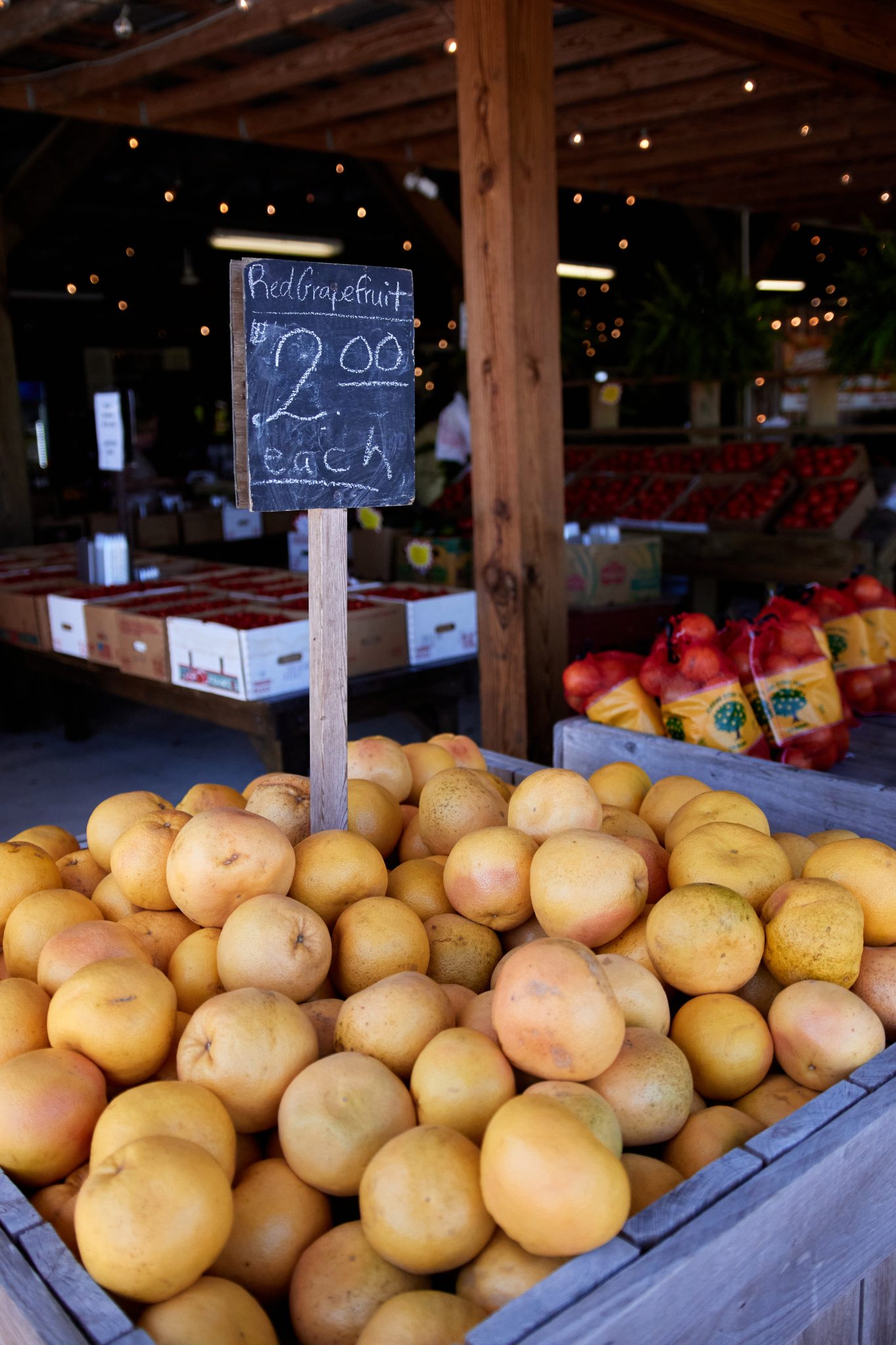 DeSoto County, Florida: An Untamed, Wild Destination