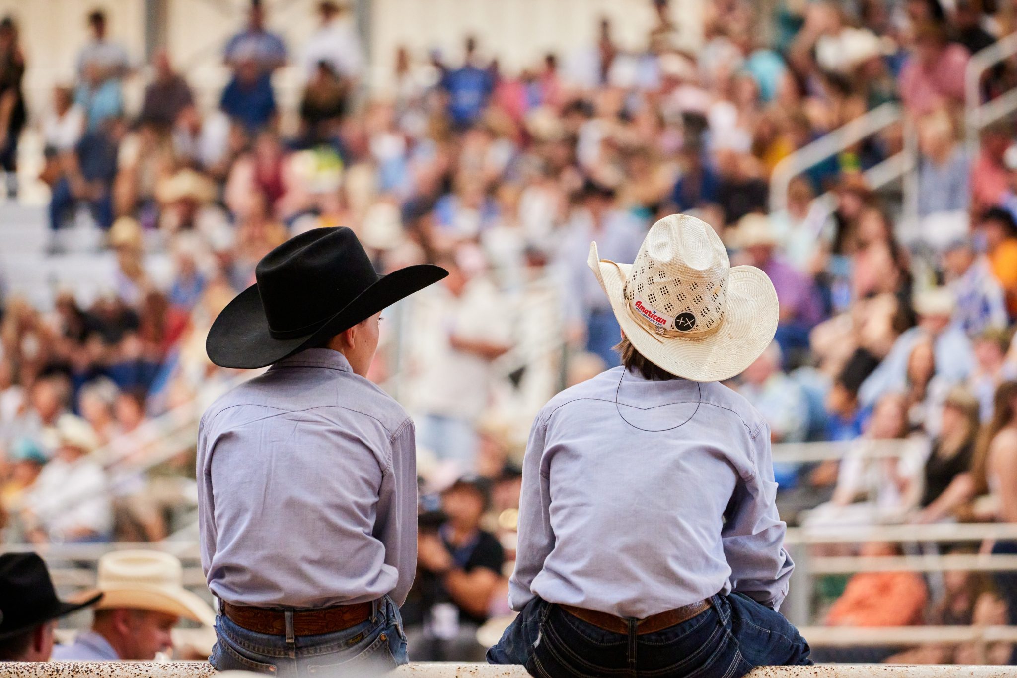 DeSoto County, Florida: An Untamed, Wild Destination